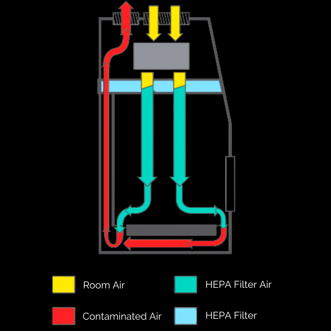 Difference between Isolators and Biological Safety Cabinets. - Isovax ...